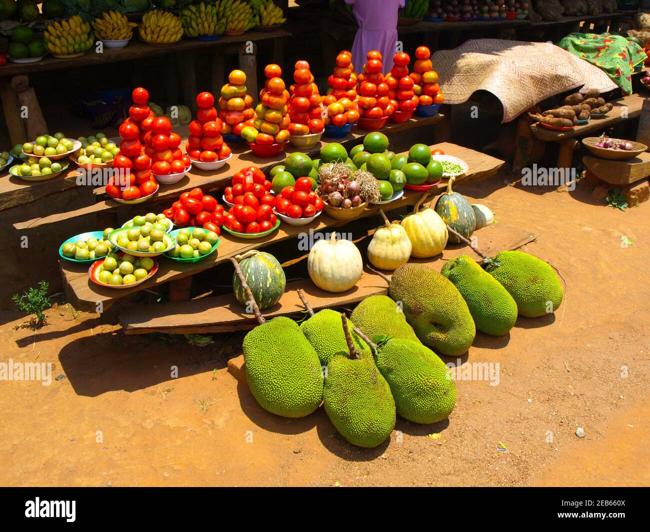 African jackfruit tree hi-res stock photography and images - Alamy