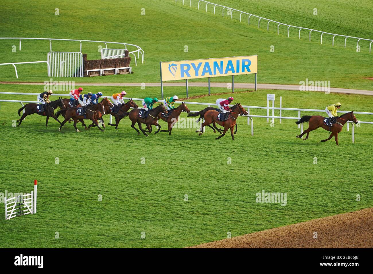 Cheltenham gold cup crowd hi-res stock photography and images - Alamy