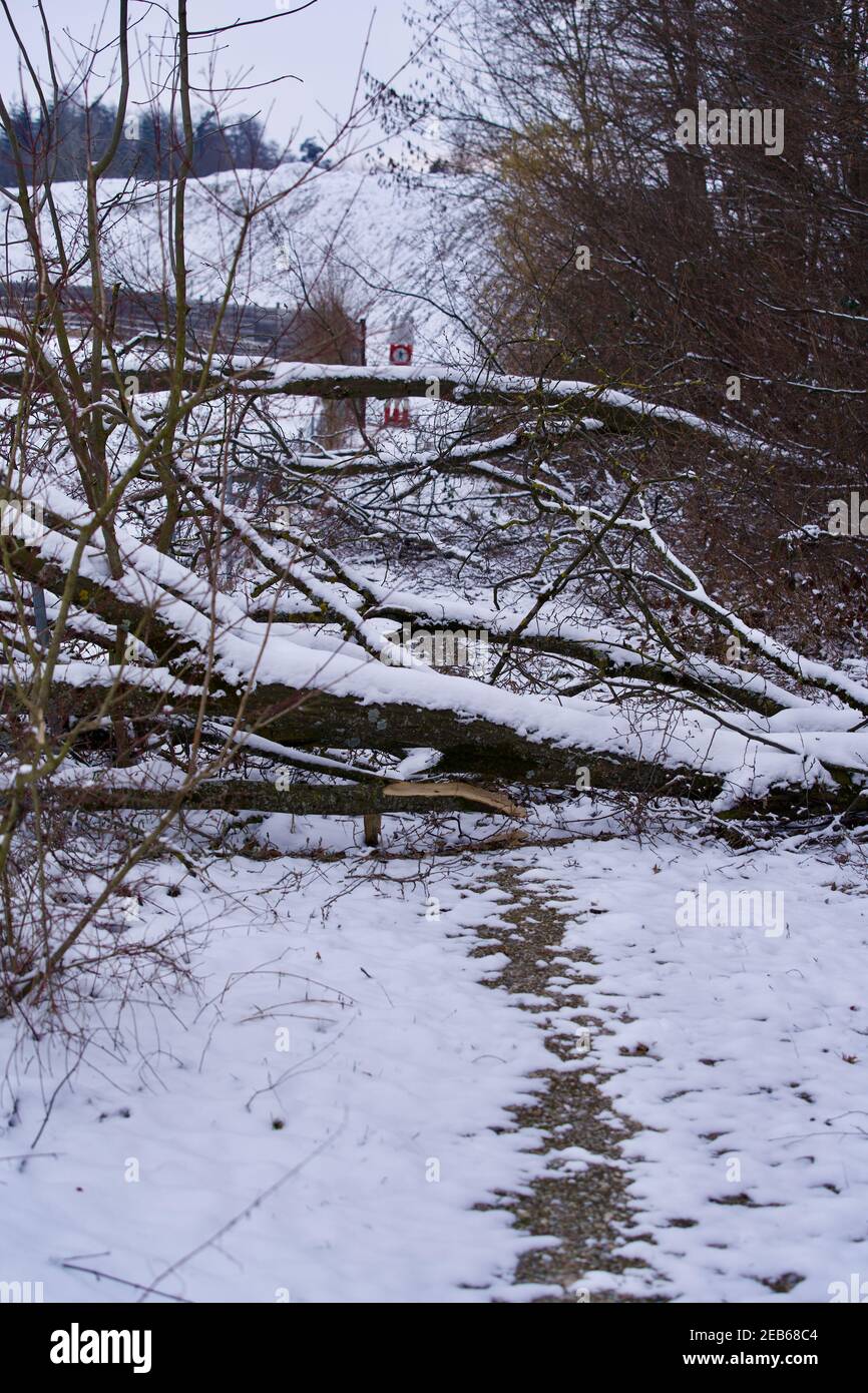 Blocking his path hi-res stock photography and images - Alamy