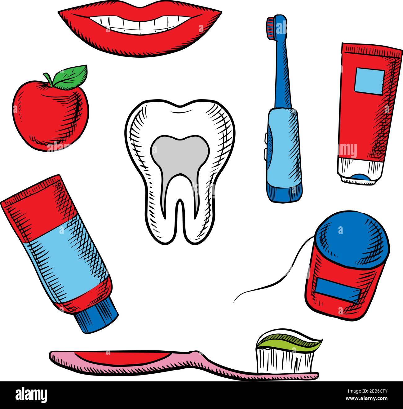 Dental hygiene medical objects with cross section of healthy tooth ...