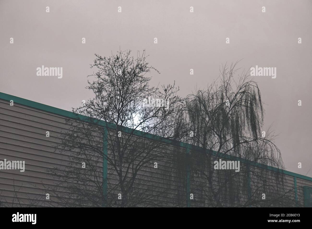 Different colour trees hi-res stock photography and images - Alamy