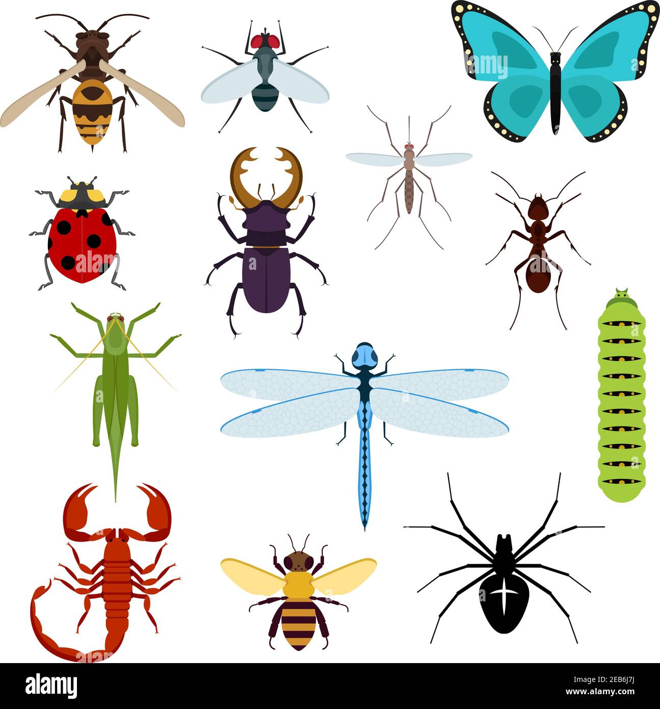 Yellow wasp moth Stock Vector Images - Alamy