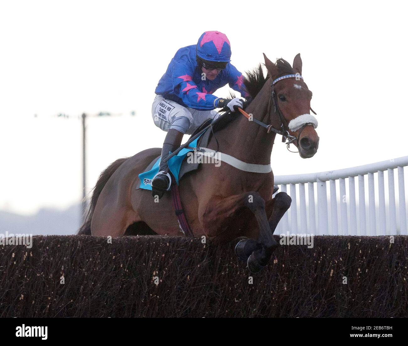 Tizzard hi-res stock photography and images - Alamy