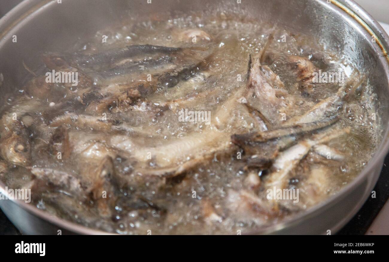 Fresh sardine hi-res stock photography and images - Alamy