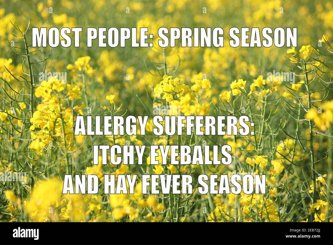 Allergies season funny meme for social media sharing. Spring time ...