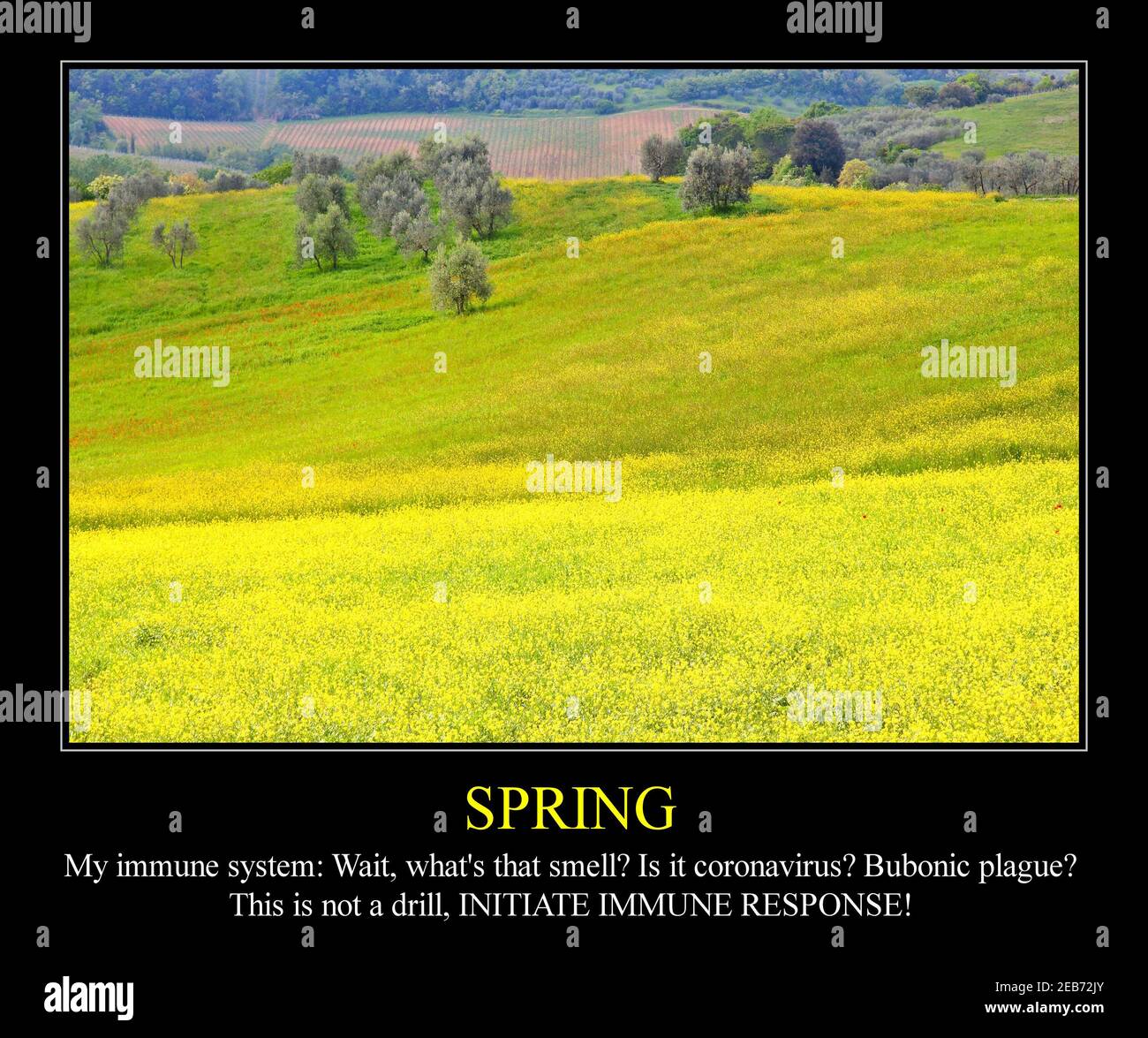 Allergy funny meme for social media sharing. Spring season allergic hay ...