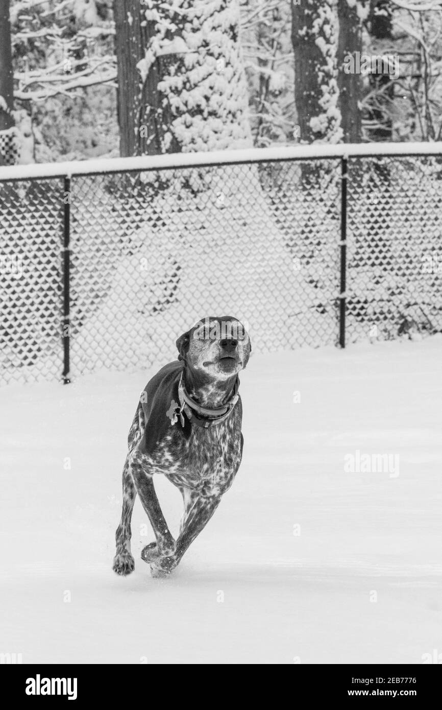 Hair running Black and White Stock Photos & Images - Alamy