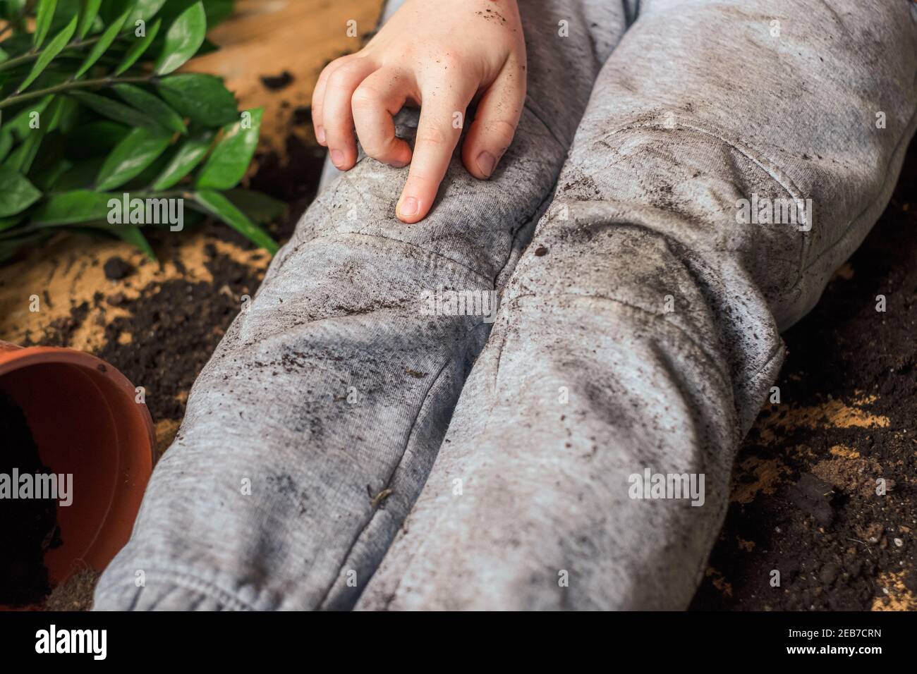 The child's finger points to a dirty soil stain on the pants. daily ...