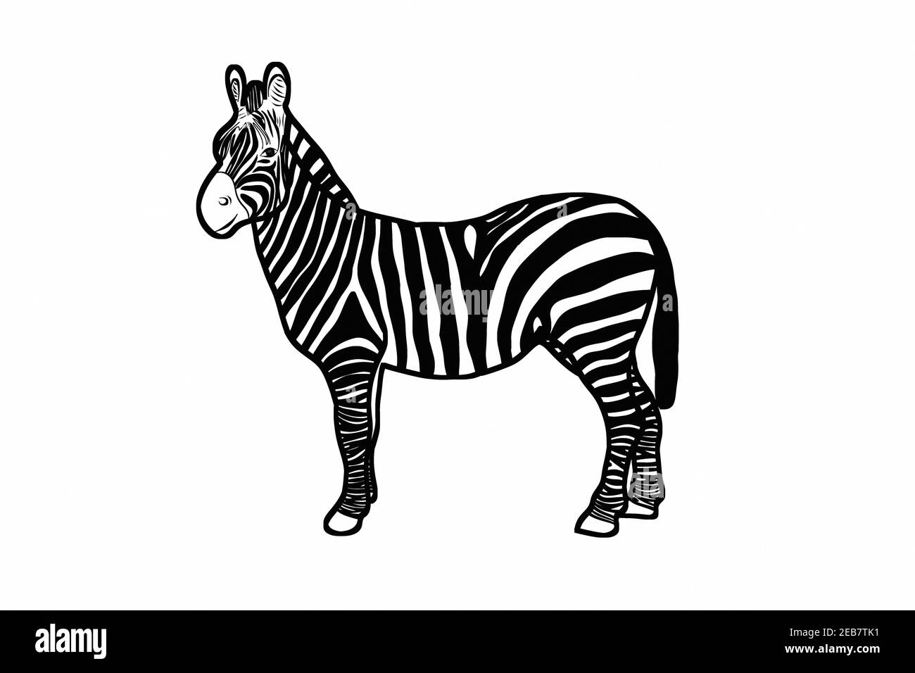 Illustration of a zebra sketch isolated on white background Stock Photo ...