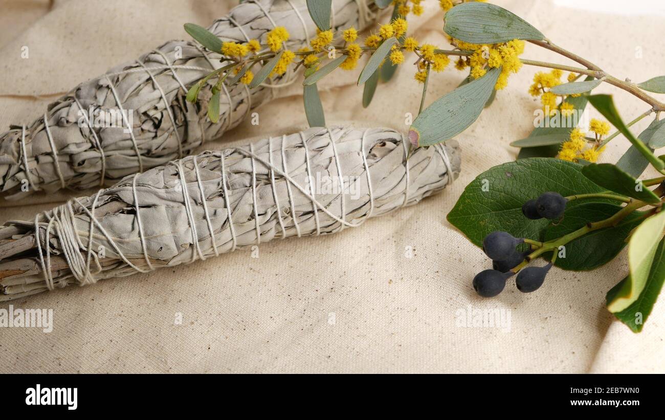 Dried white sage smudge stick, relaxation and aromatherapy. Smudging ...