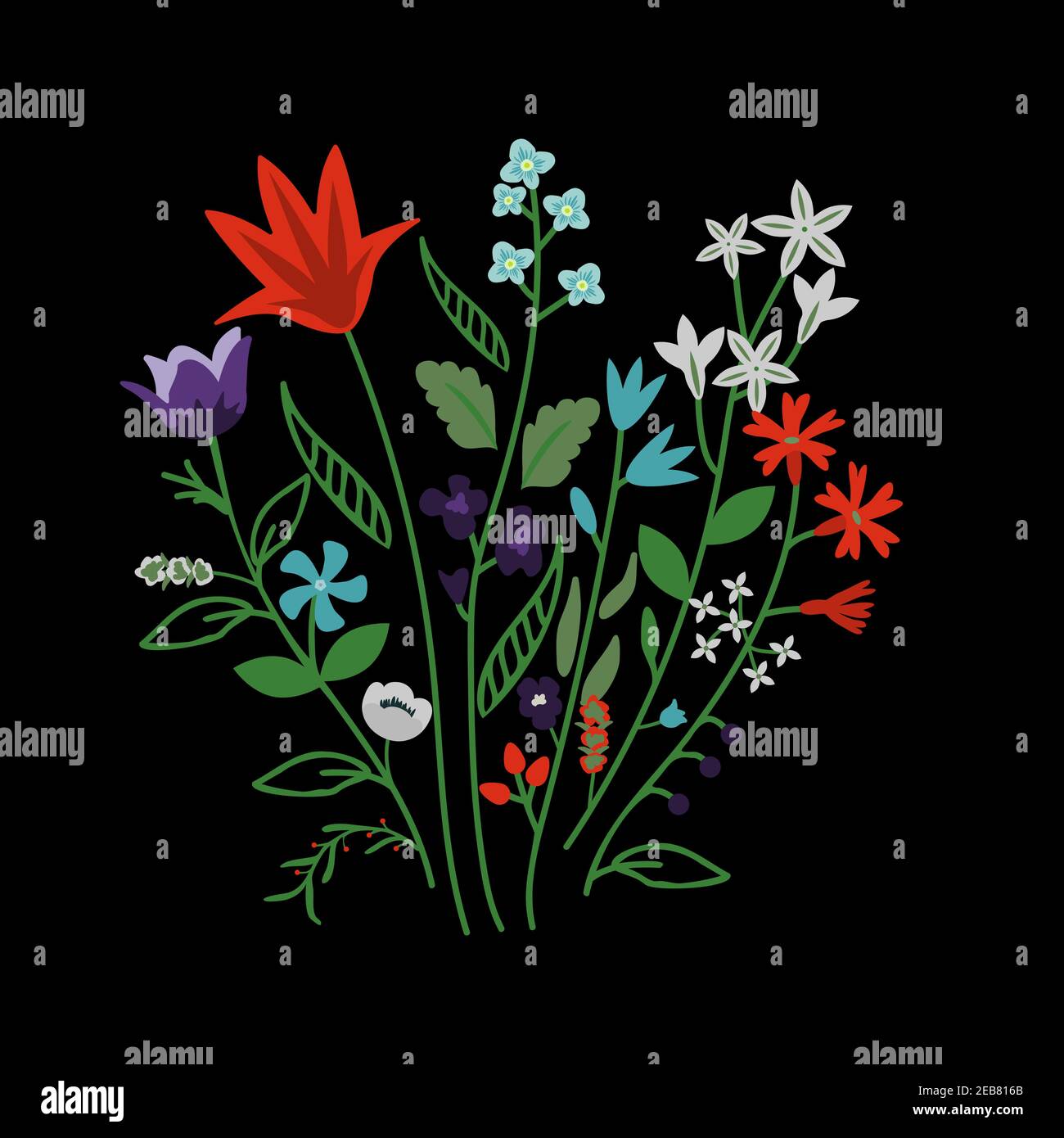 White veronica Stock Vector Images - Alamy