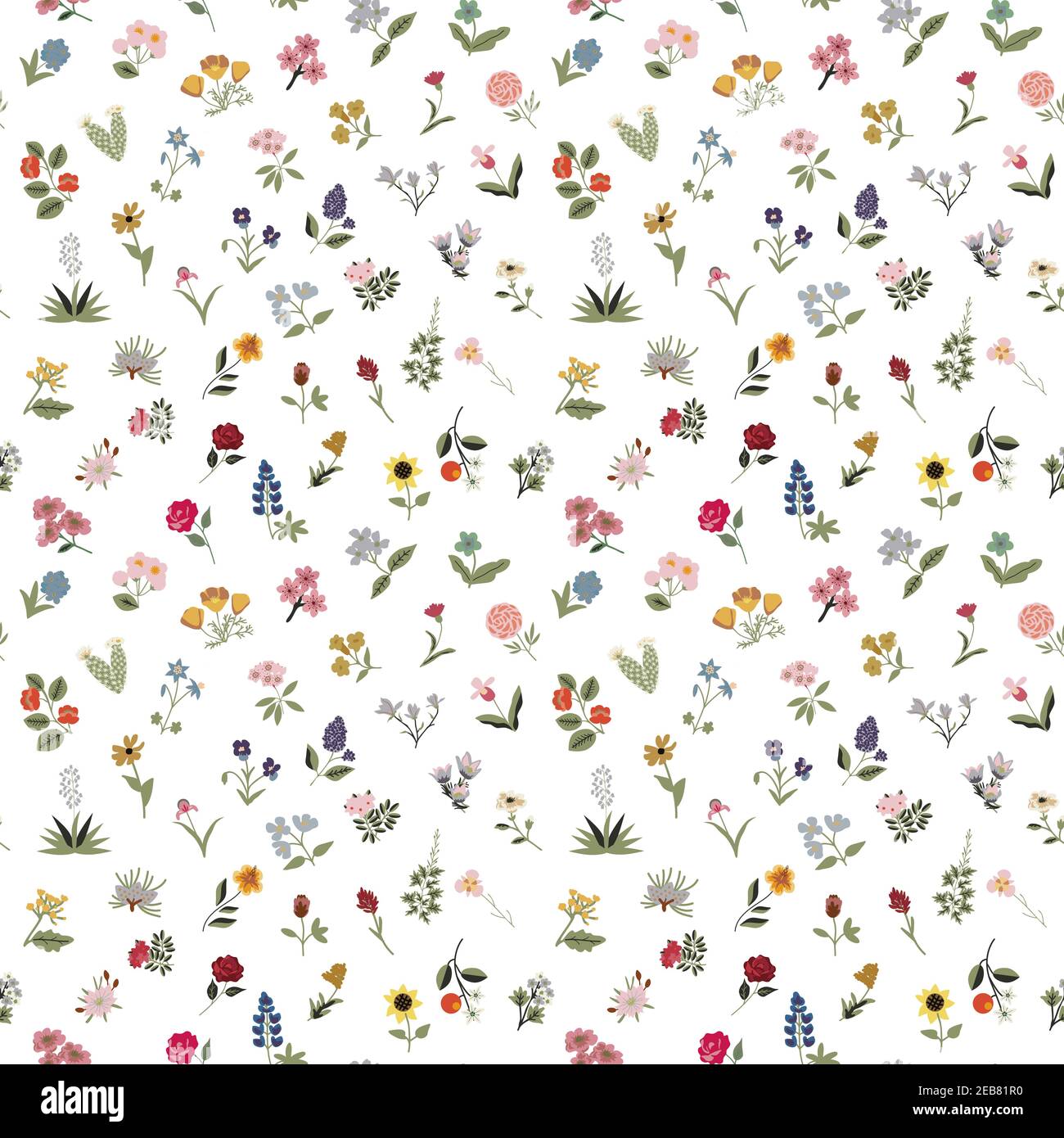 Seamless USA state flowers vector, pattern Stock Vector Image & Art - Alamy