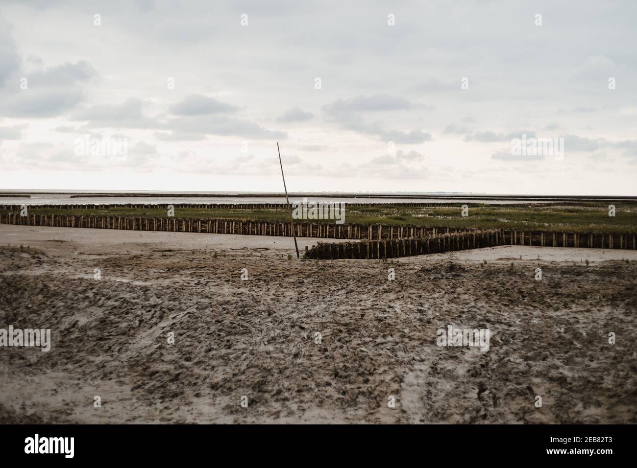photo of wooden piles at the sea Stock Photo - Alamy