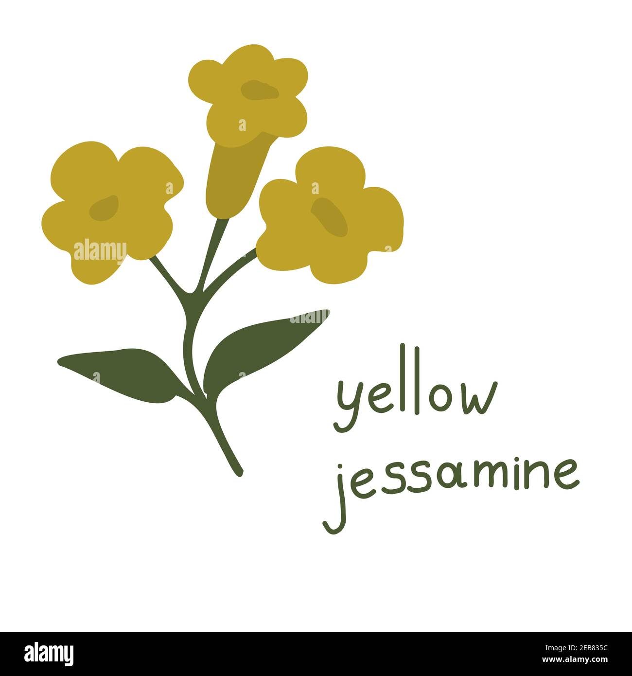 Yellow jessamine vector vectors hi-res stock photography and images - Alamy