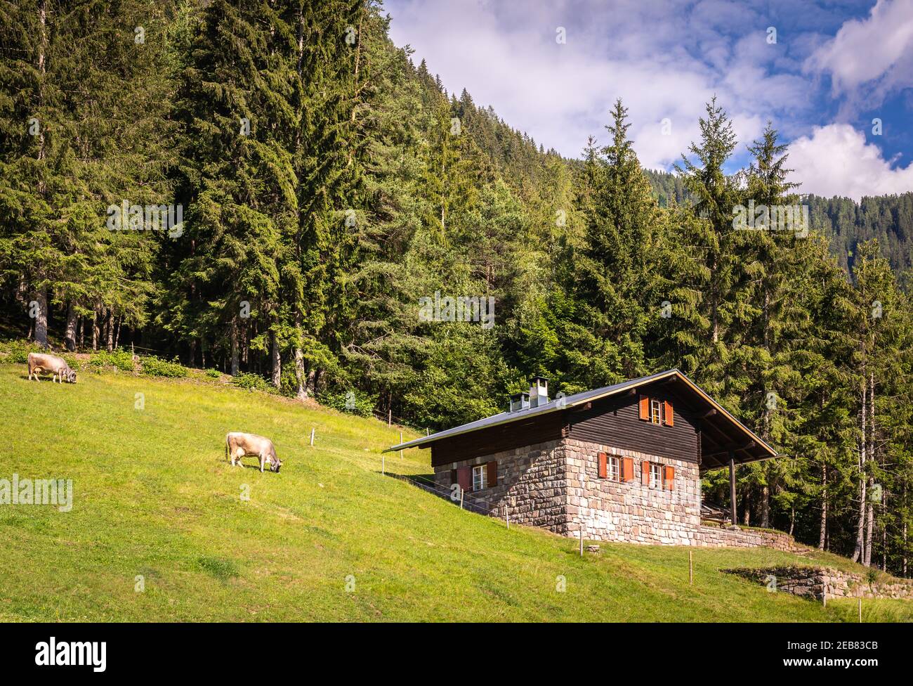Alpine house hi-res stock photography and images - Alamy