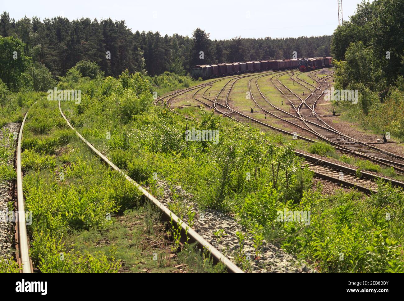 railway siding overgrown with grass. shunting electric locomotive and ...