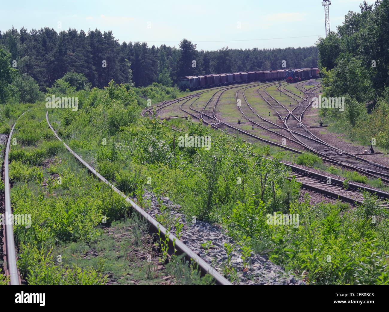 railway siding overgrown with grass. shunting locomotive and coupling ...