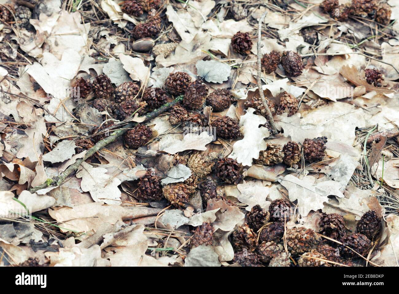 Hard bitten hi-res stock photography and images - Alamy