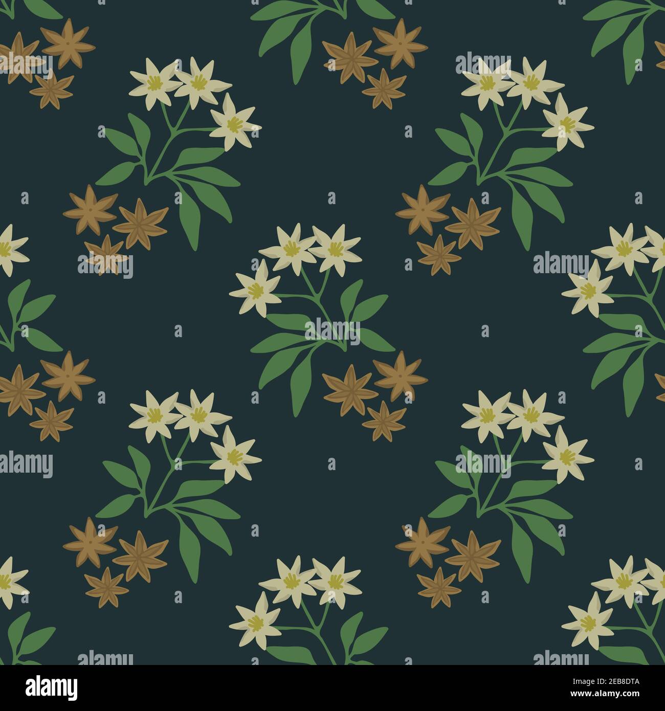 Star anise Stock Vector Images - Alamy