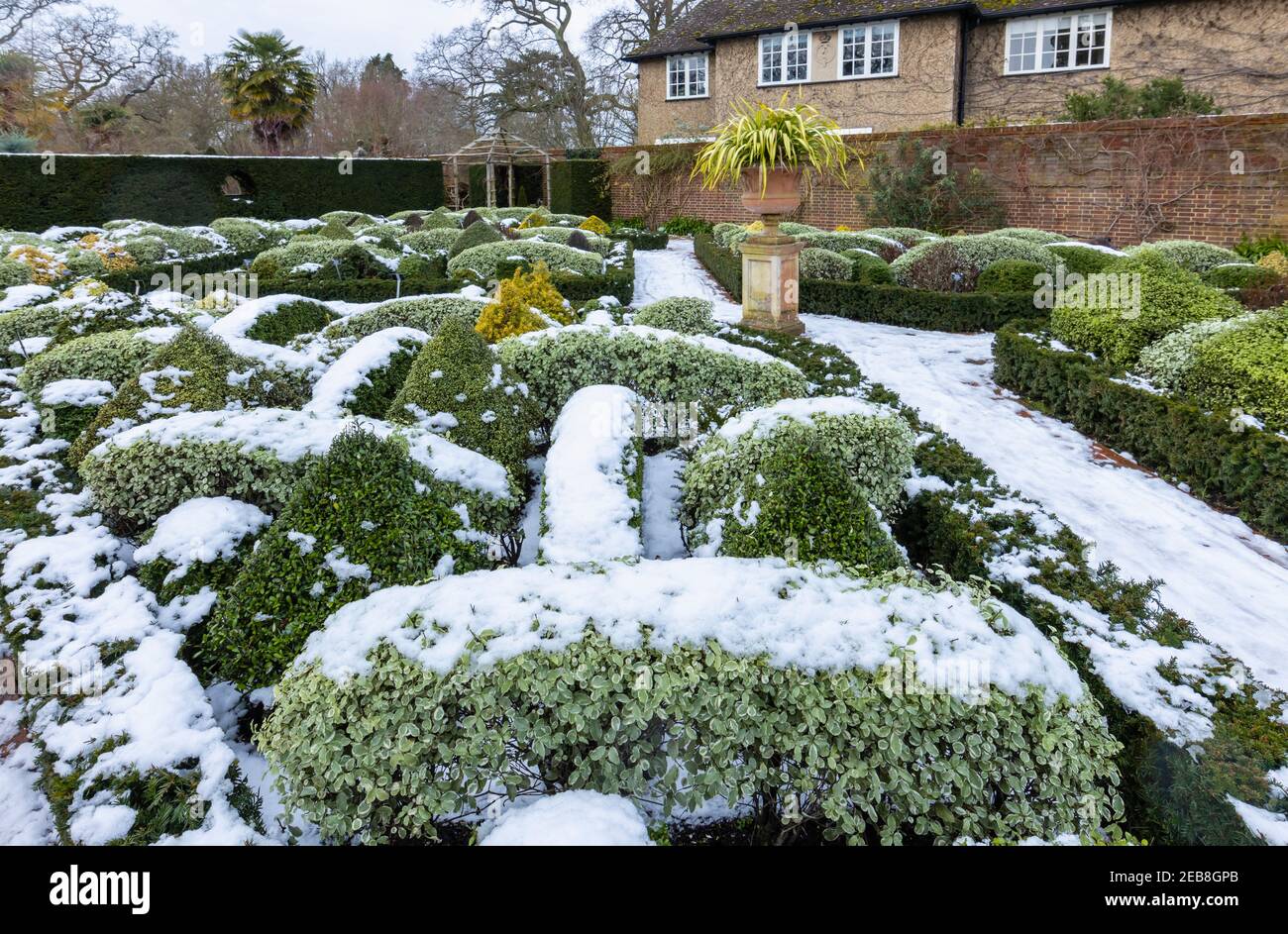 The formal Knot Garden at RHS Garden, Wisley, Surrey, south-east ...