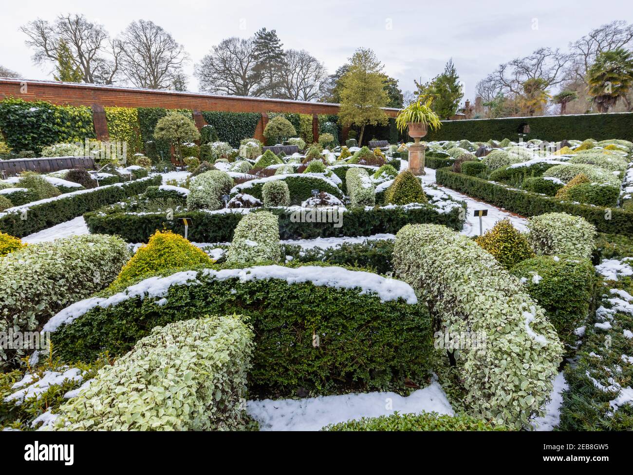Clipped Hedge Formal High Resolution Stock Photography and Images - Alamy