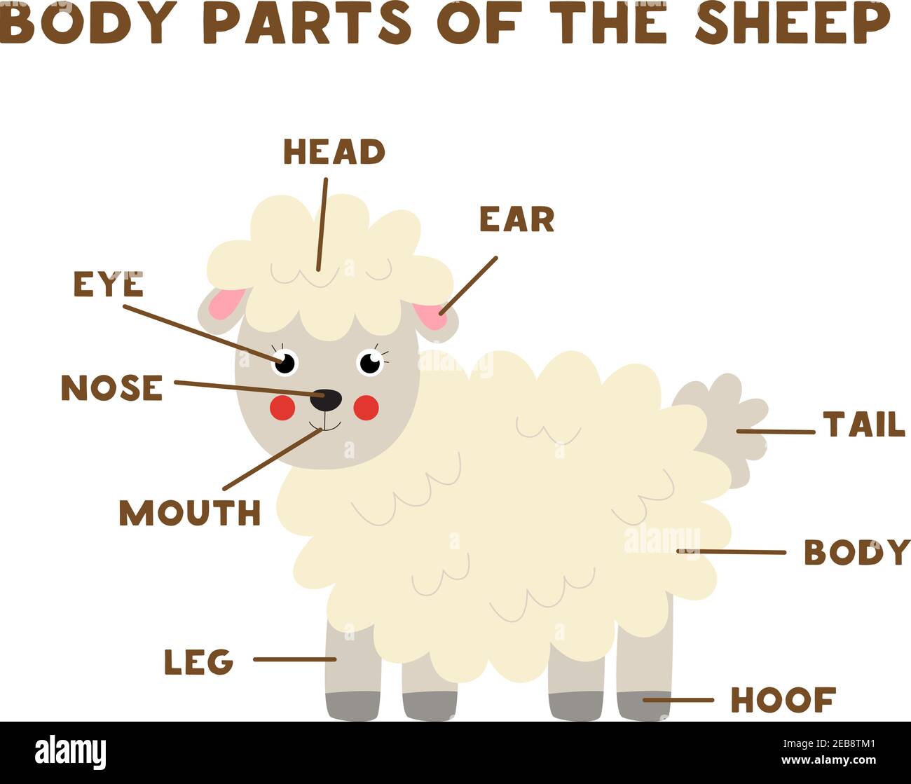 Anatomy Of A Sheep Sheep Anatomy Etsy