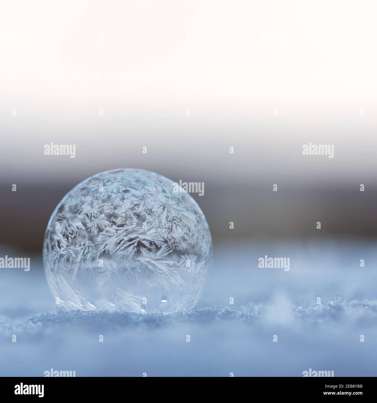 Frozen Bubble High Resolution Stock Photography and Images - Alamy
