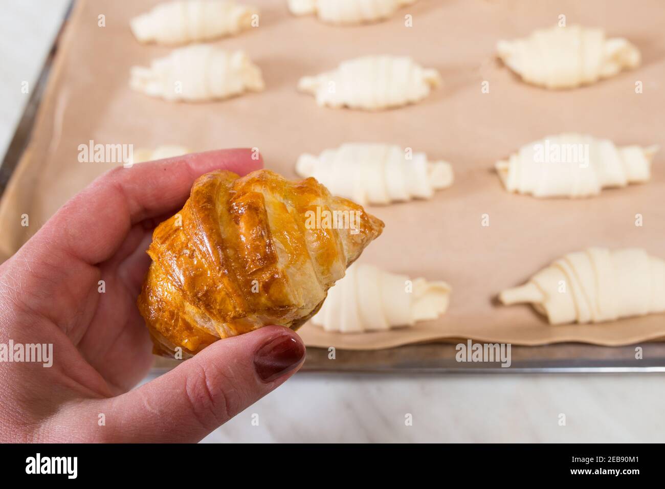 Little baked croissant in hand with raw croissants on tray, blurred on ...