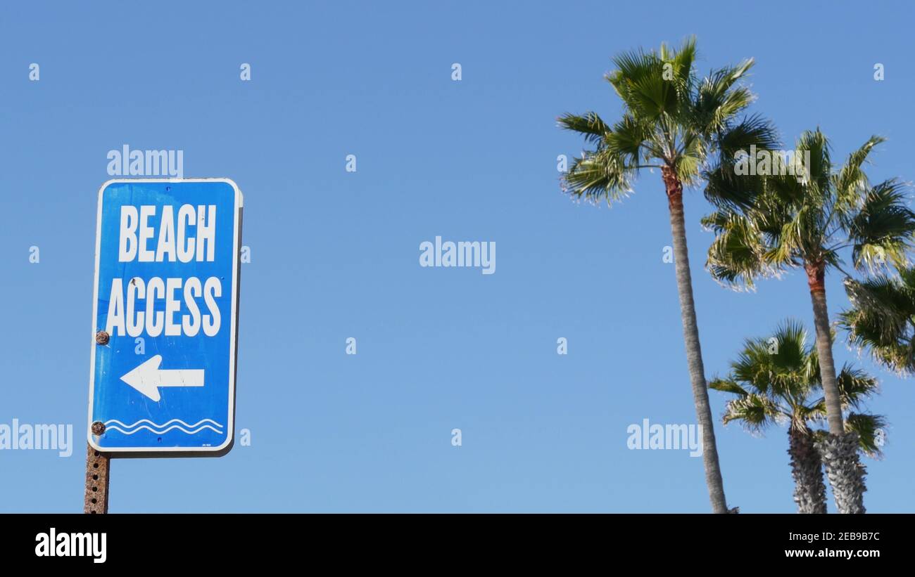 Beach sign and palms in sunny California, USA. Palm trees and seaside ...