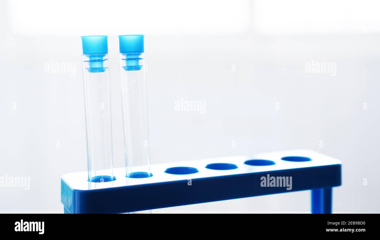 Test tubes on a blue stand on blurred gray and white background of ...