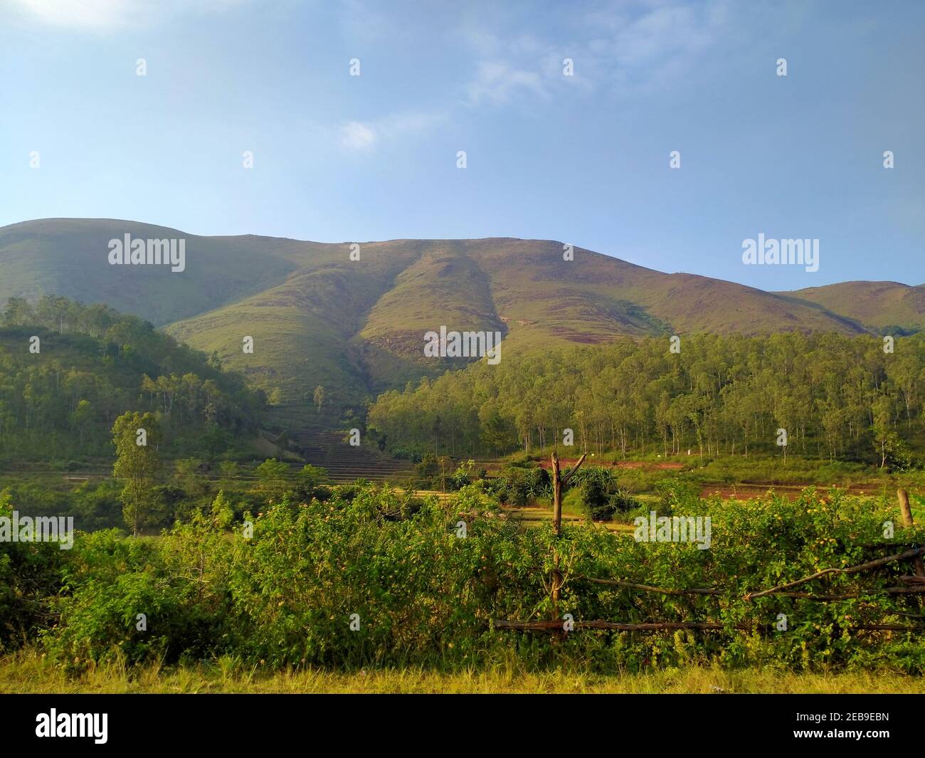 Deomali hill top deomali hill peak of odisha Stock Photo - Alamy