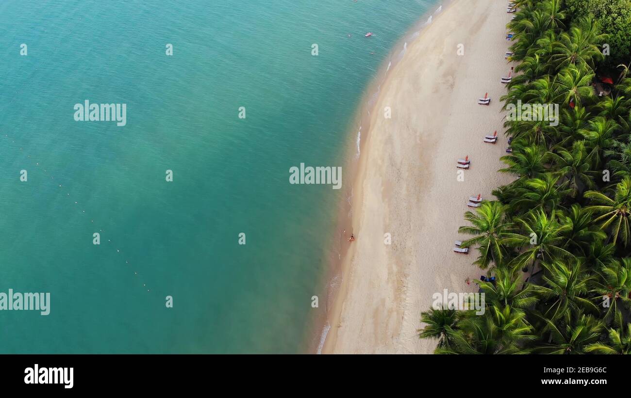 Blue lagoon and sandy beach with palms. Aerial view of blue lagoon and ...