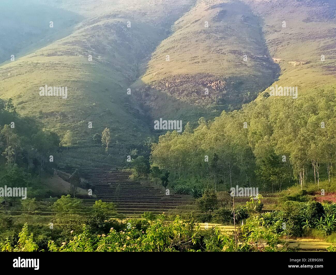 Deomali hill top deomali hill peak of odisha Stock Photo - Alamy
