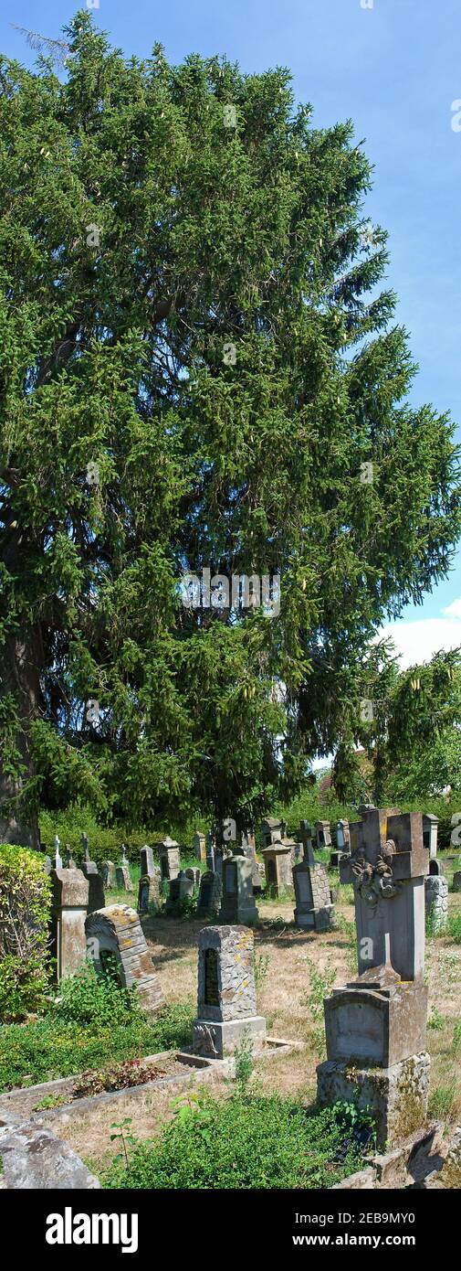 Old funeral memorial hi-res stock photography and images - Alamy