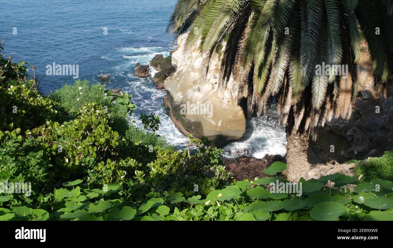 From above sea cave in La Jolla Cove. Lush foliage and sandstone grotto ...