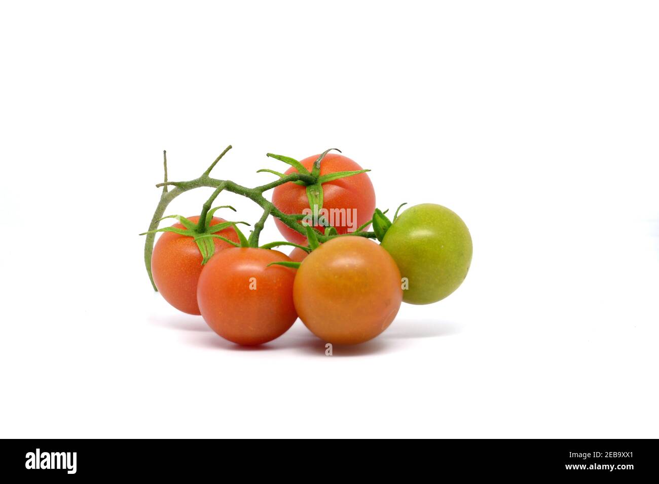 Cherry tomato tomatoes on hi-res stock photography and images - Alamy