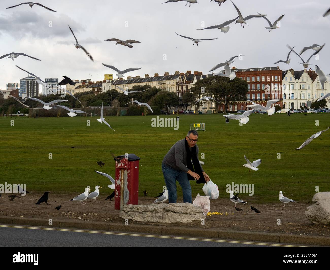 A man feeding the seagulls in Porstmouth Stock Photo - Alamy