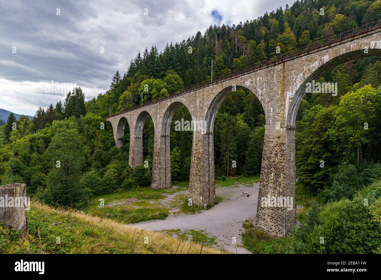 Beautiful bridge surrounded by dense trees under the cloudy sky in ...