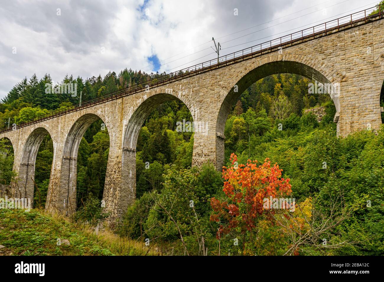Beautiful bridge surrounded by dense trees under the cloudy sky in ...
