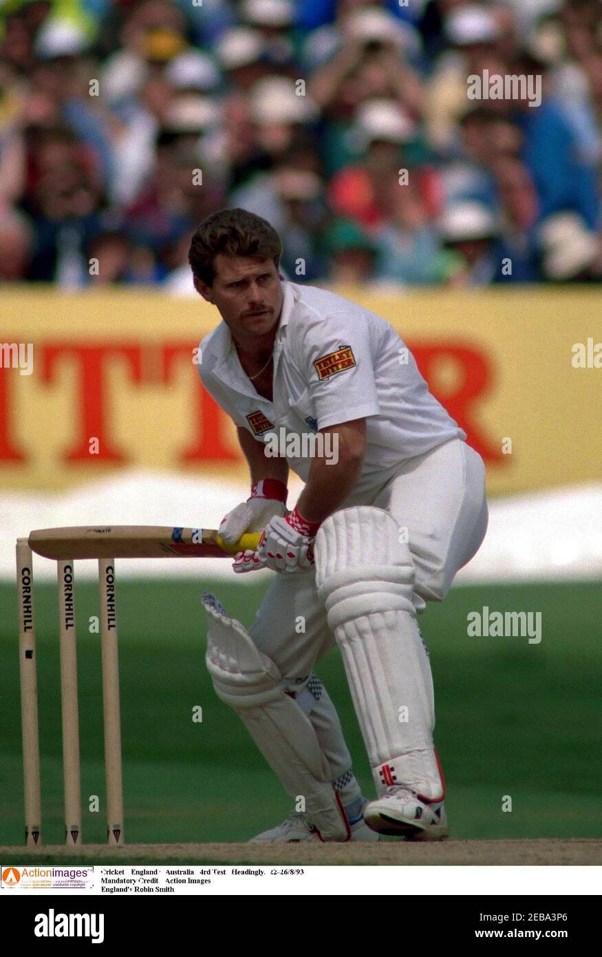 Robin smith hi-res stock photography and images - Alamy