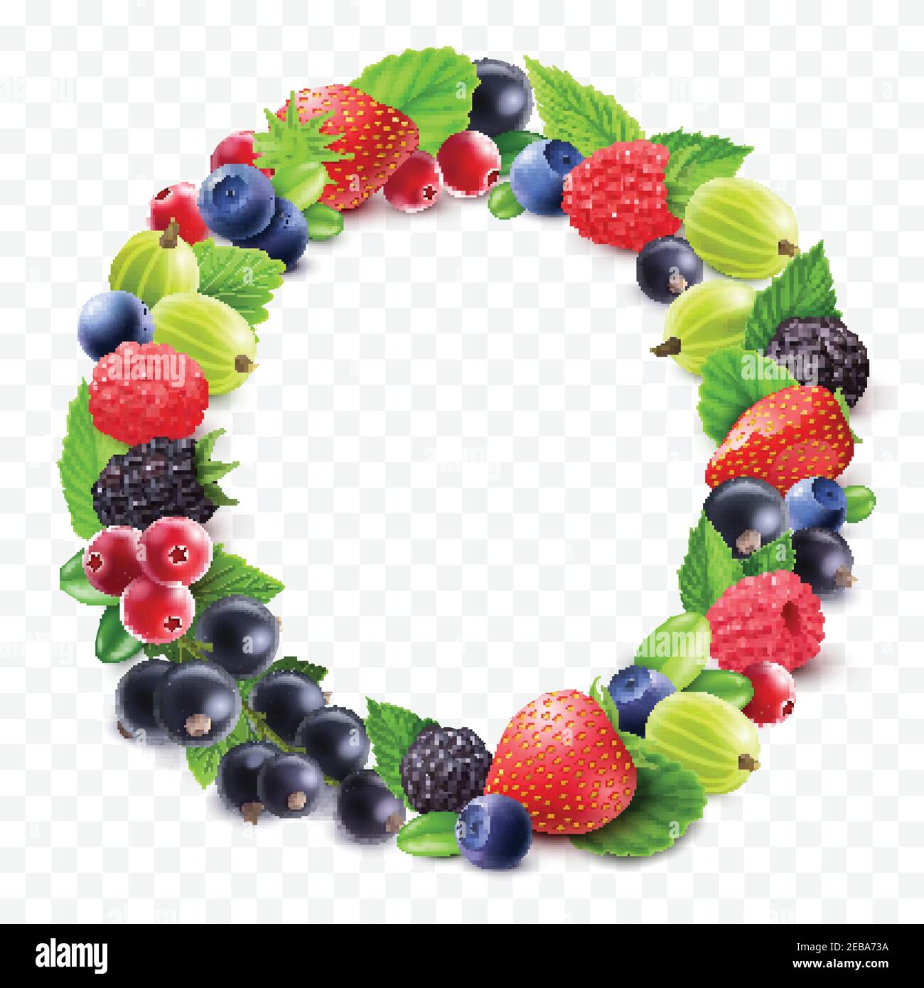 Colorful berries round set with gooseberry strawberry cranberry ...