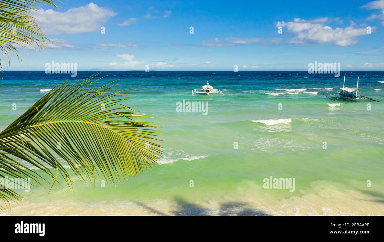 Beautiful tropical beach with white sand, palm trees, turquoise ocean ...
