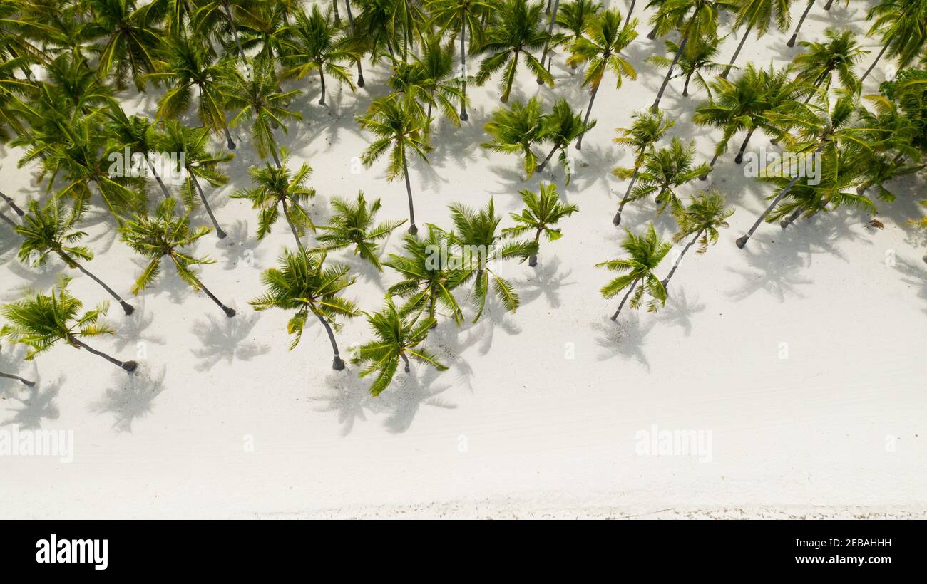 Beautiful tropical beach and turquoise water view from above. Panglao ...
