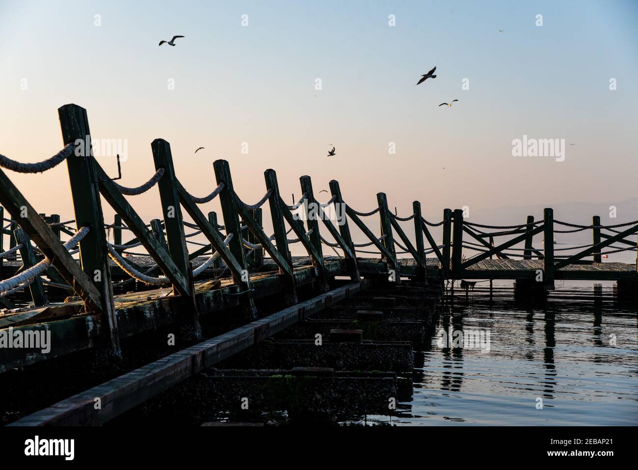 Pier made of wood hi-res stock photography and images - Alamy