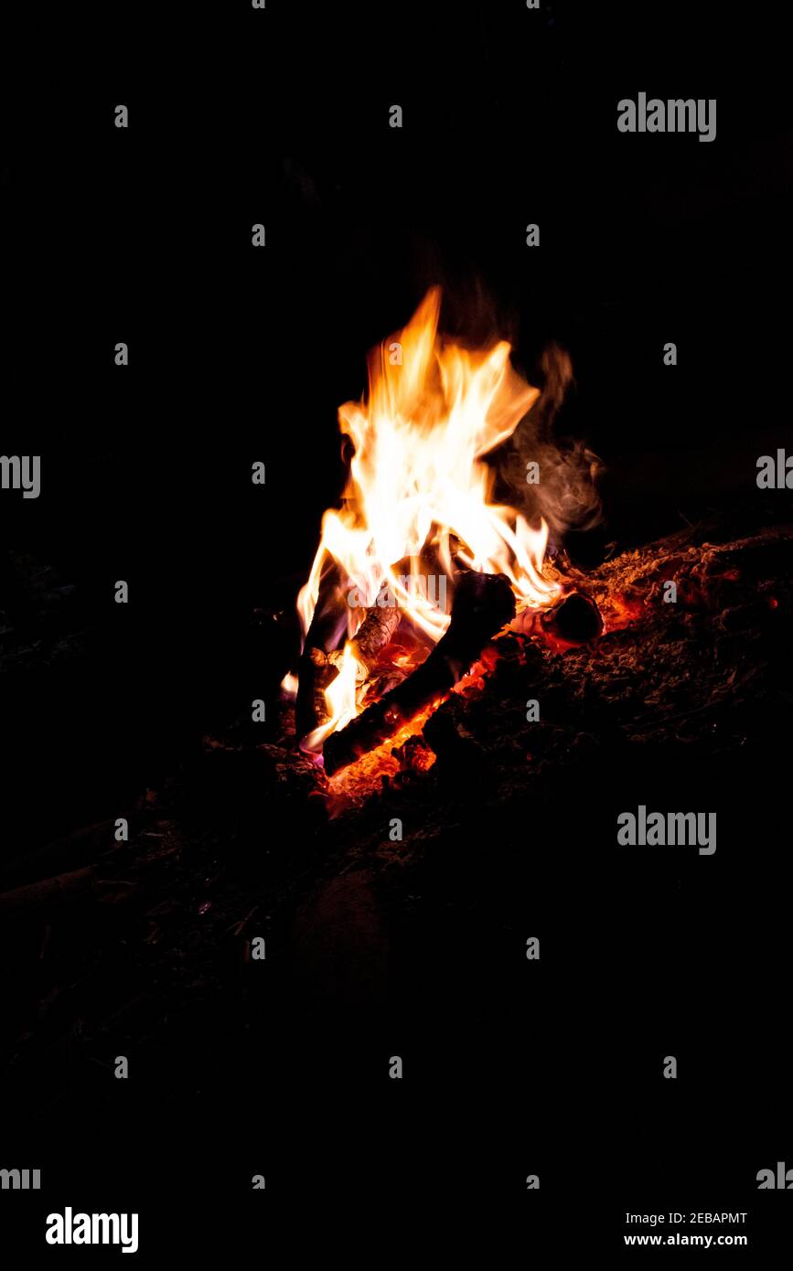 Camp fire with small logs of wood burning outdoors in dark Stock Photo ...