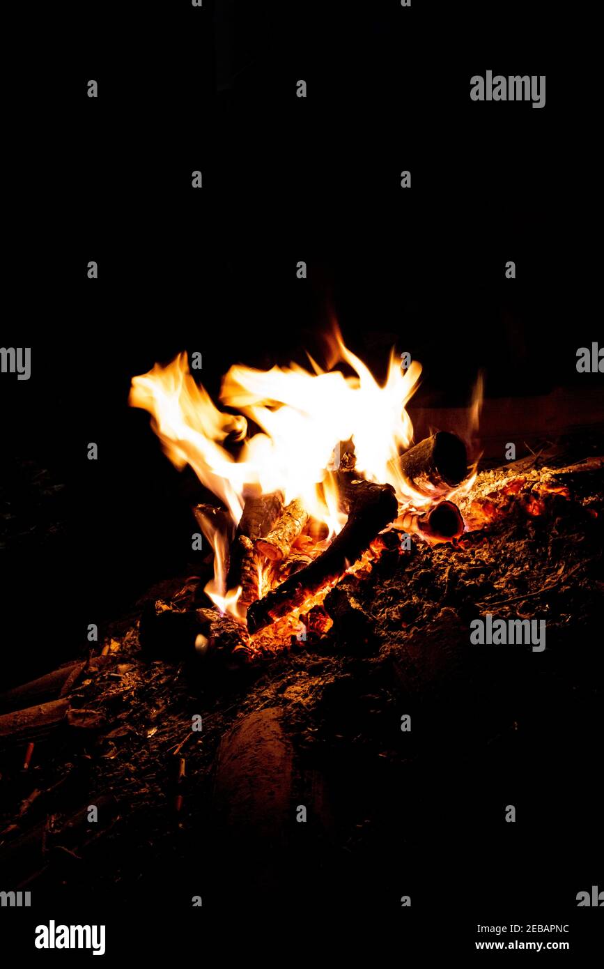 Camp fire with small logs of wood burning outdoors in dark Stock Photo ...