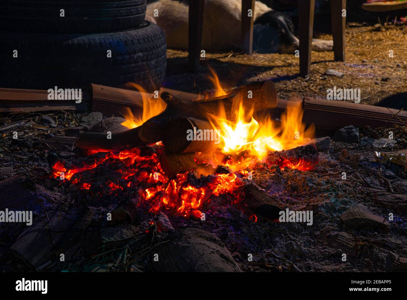 Camp fire with small logs of wood burning outdoors in dark Stock Photo ...