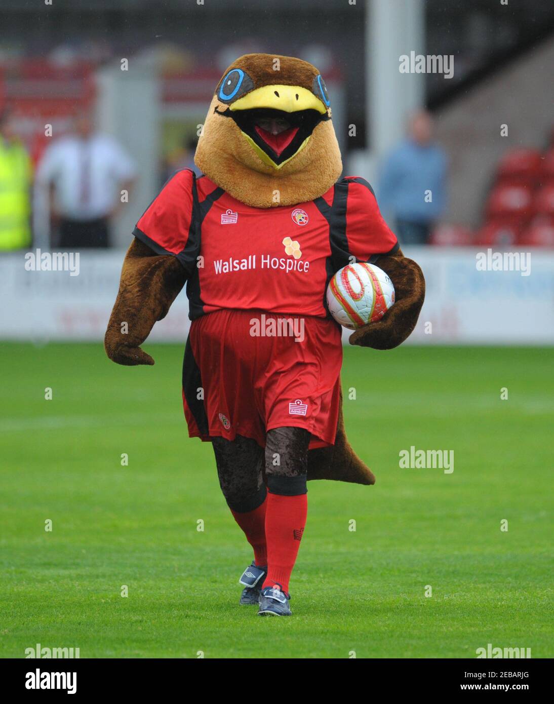Walsall Mascot High Resolution Stock Photography and Images - Alamy