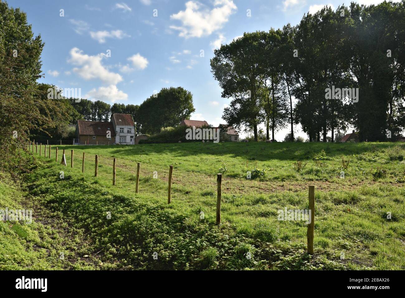 Rural fair draft horses hi-res stock photography and images - Alamy