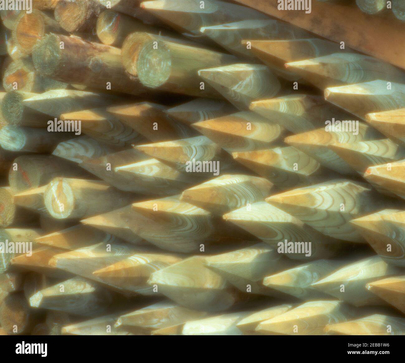 Fence sharp points hi-res stock photography and images - Alamy
